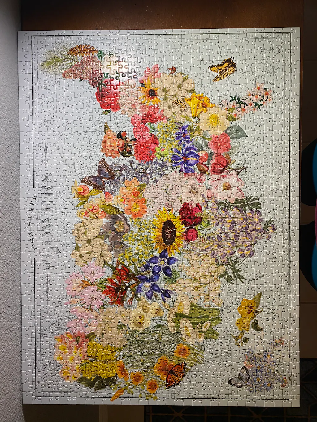 Wendy Gold USA State Flowers 1000 Piece Puzzle | Galison