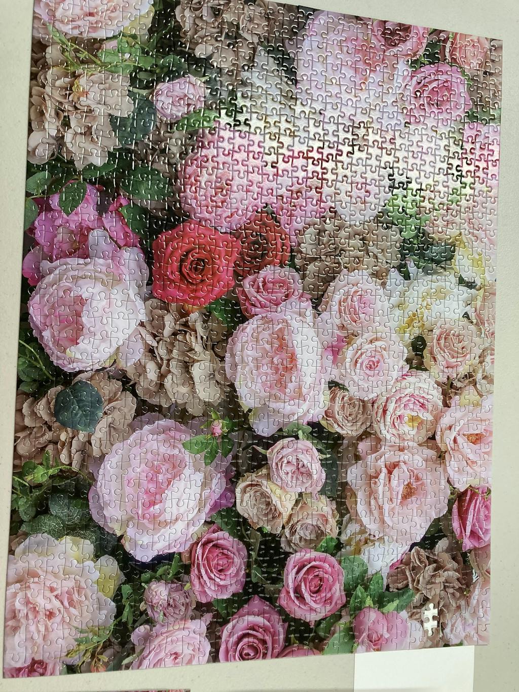 English Roses 1000 Piece Puzzle | Galison
