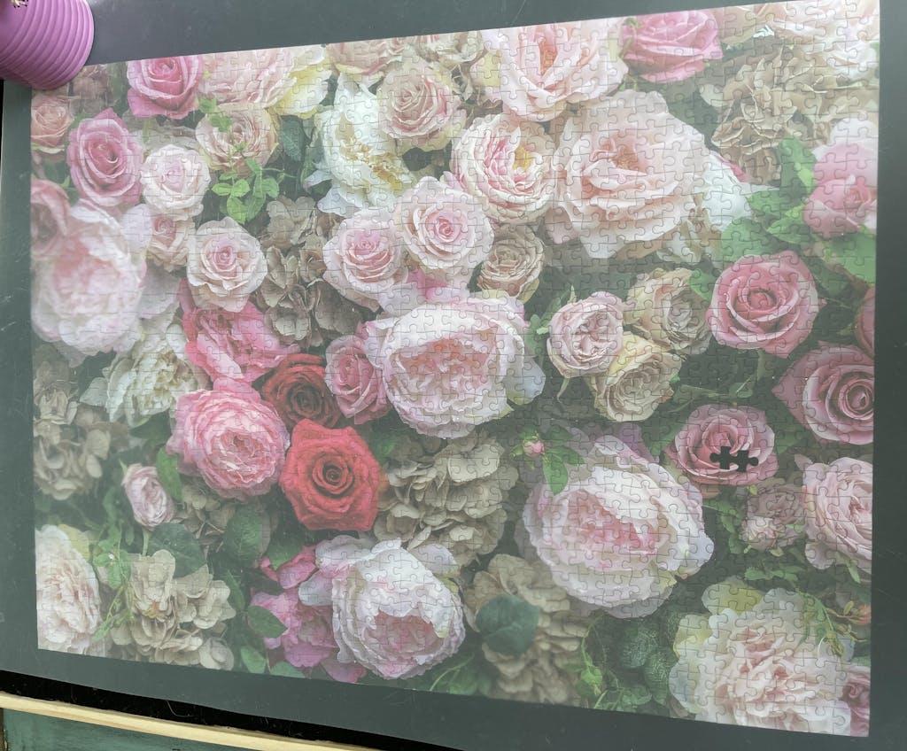 English Roses 1000 Piece Puzzle | Galison