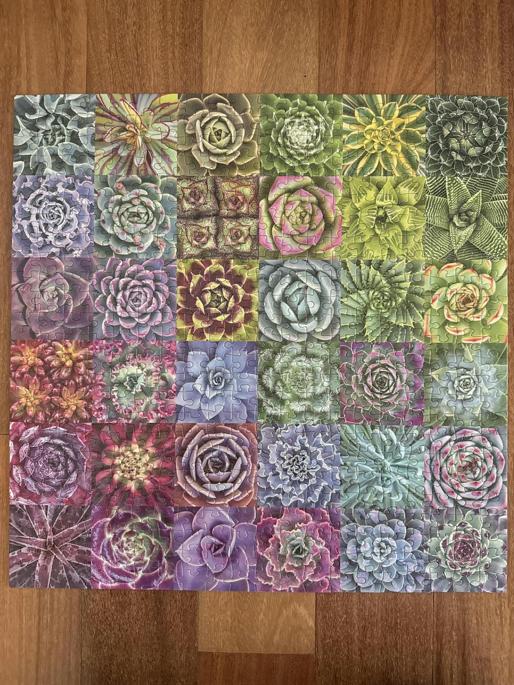 Succulent Spectrum 500 Piece Puzzle | Galison