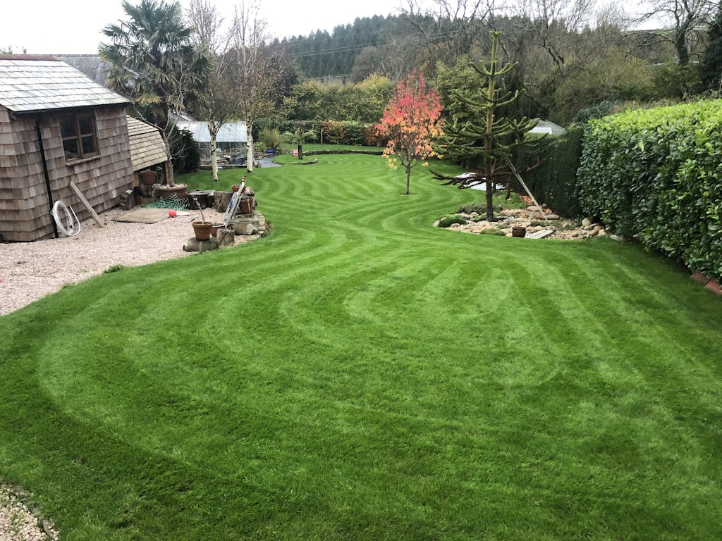 American Dark Green Grass Seed & Fertiliser – Garden Lawncare Guy