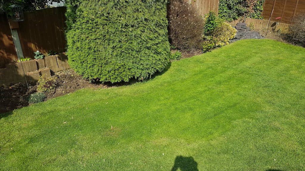 Premium Hard Wearing Grass Seed Garden Lawncare Guy Lawncare Made Easy