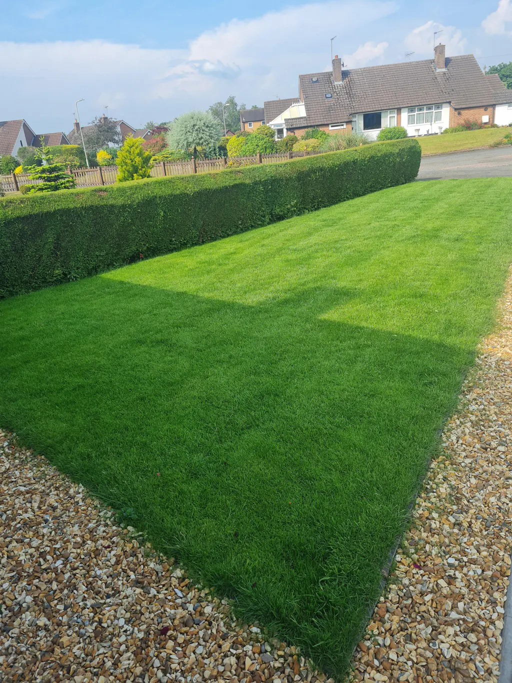 American Dark Green Grass Seed & Fertiliser – Garden Lawncare Guy