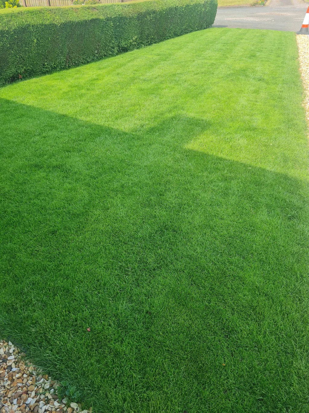 American Dark Green Grass Seed & Fertiliser – Garden Lawncare Guy