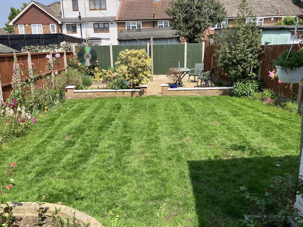 Premium Hard Wearing Grass Seed Garden Lawncare Guy Lawncare Made Easy
