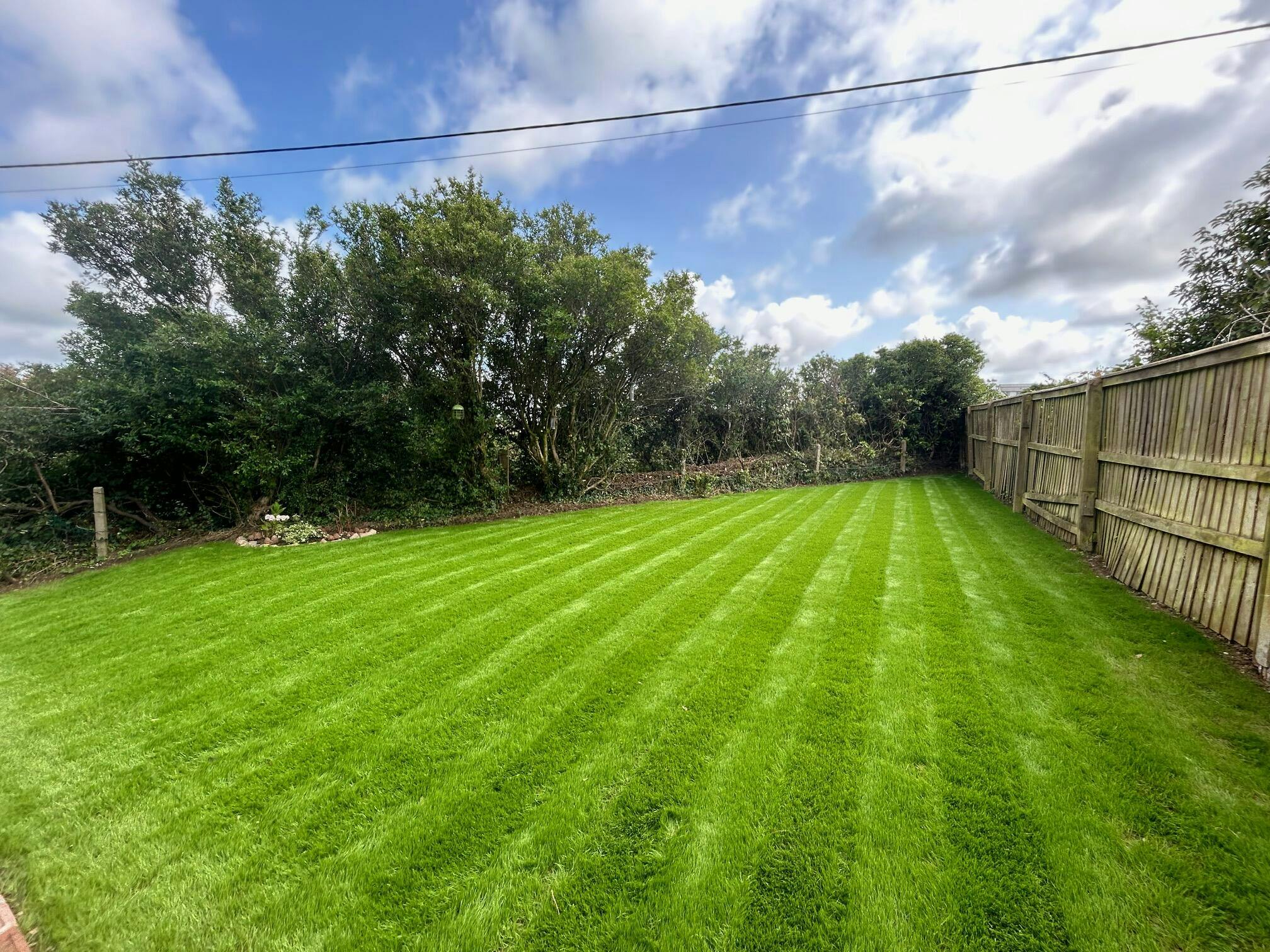 Dark Green Grass Seed & Pre-Seed Fertiliser – Lawncare Guy