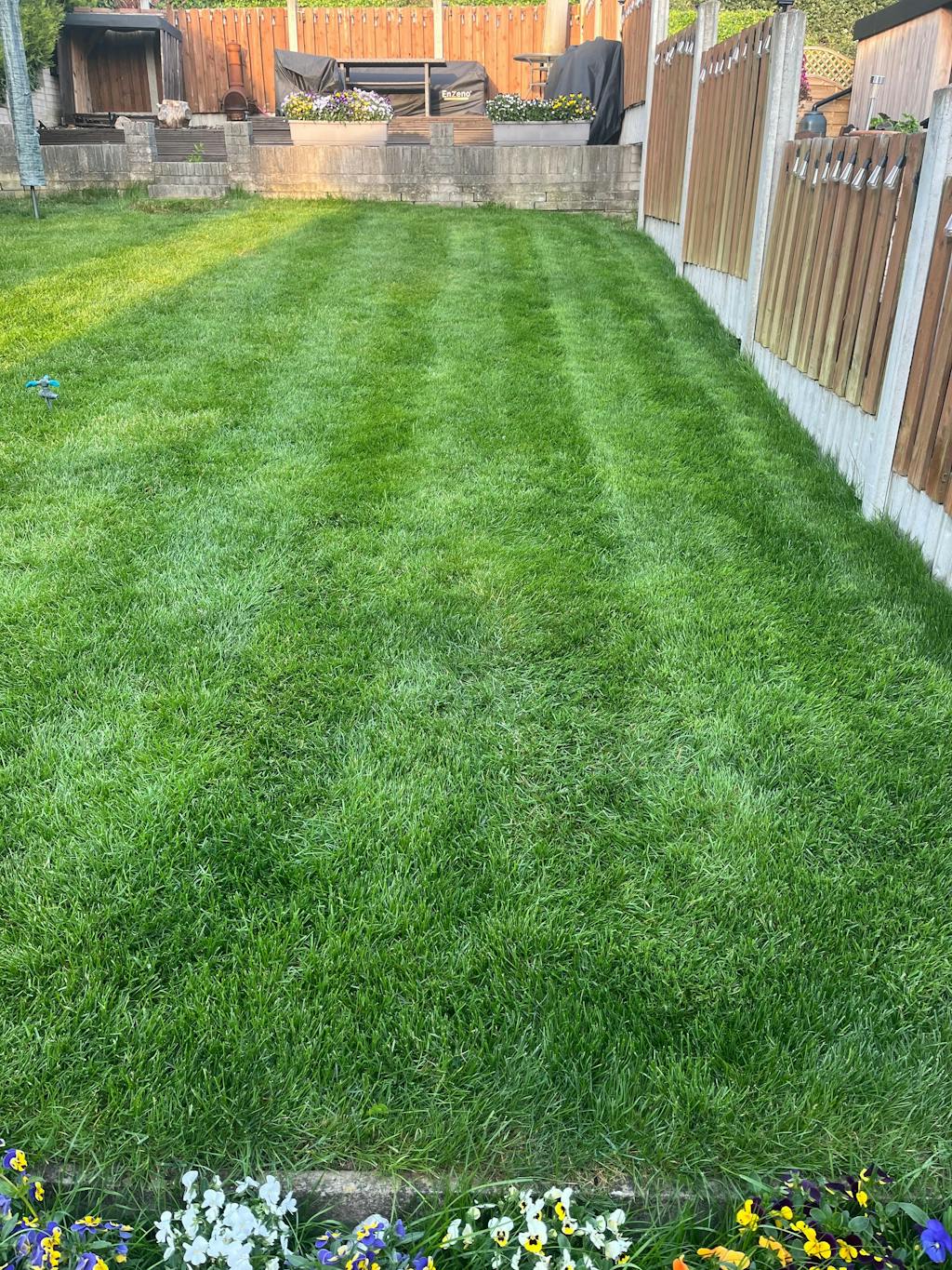 Dark Green Grass Seed & Pre-Seed Fertiliser – Lawncare Guy