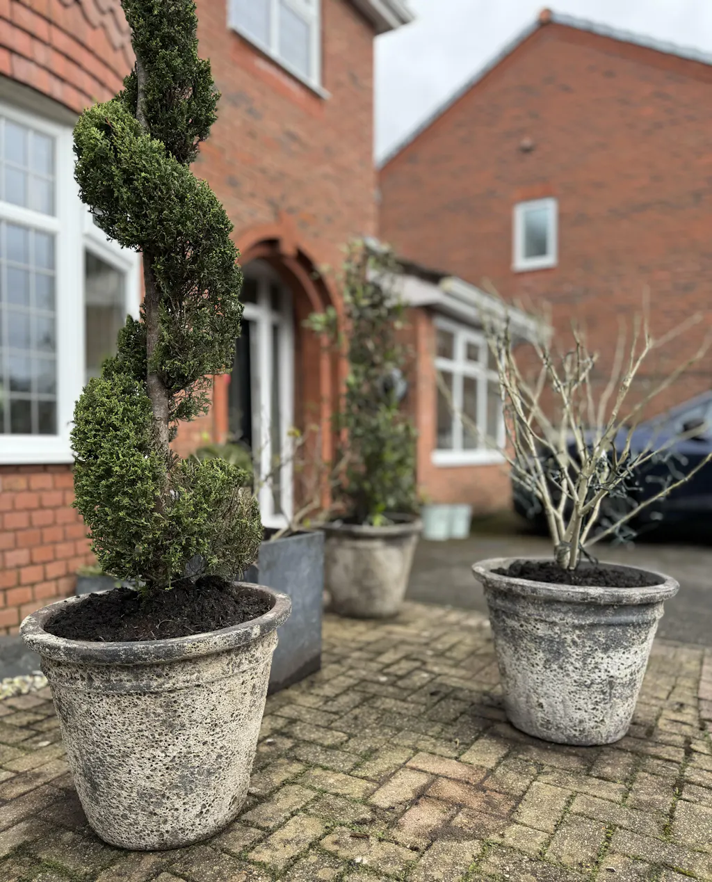 Eris Ancient Stone Plant Pot | Frostproof & Hand-Finished – Gardenesque