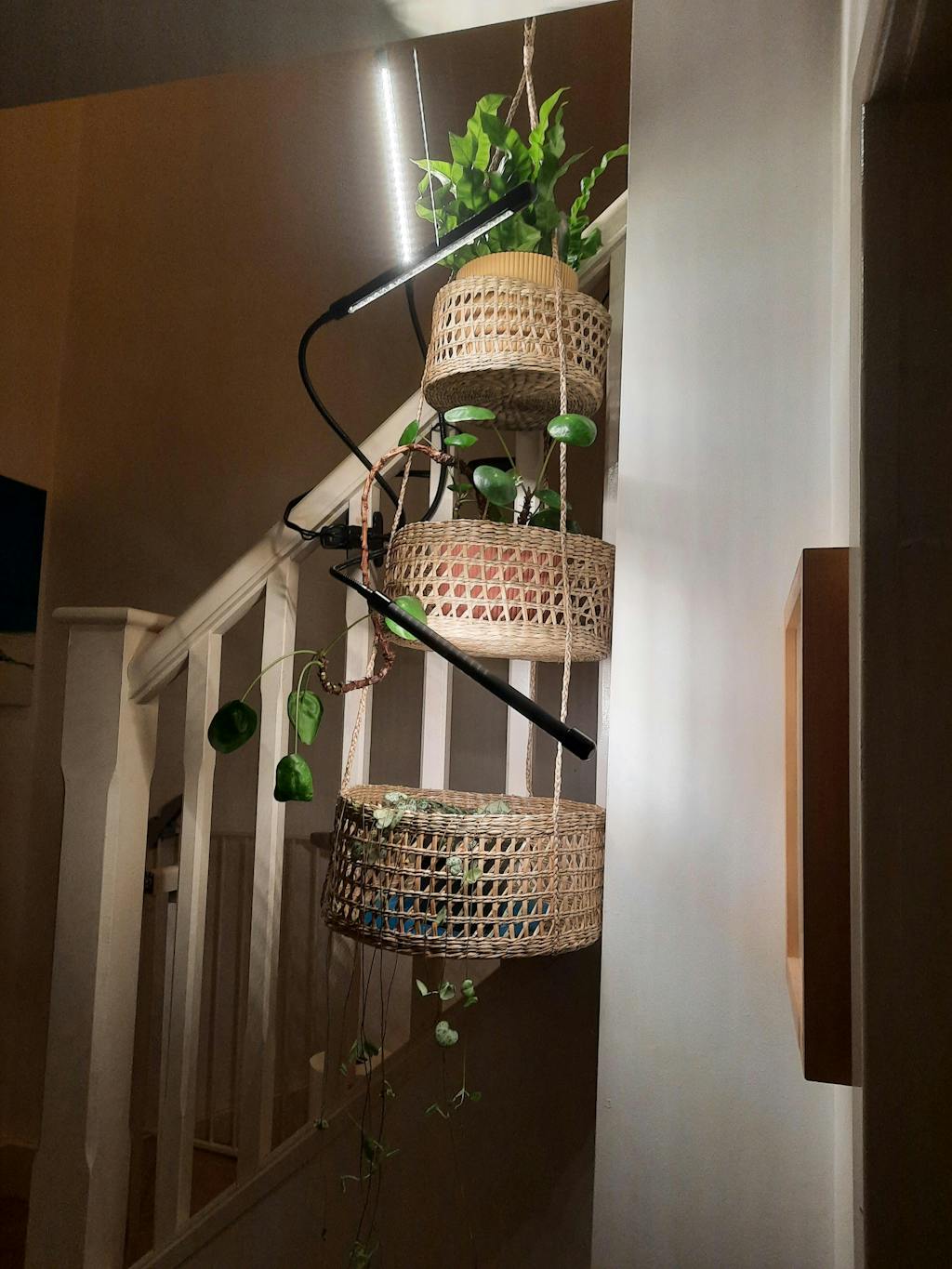 Sun Bulb | LED full spectrum grow bulb - gathera UK