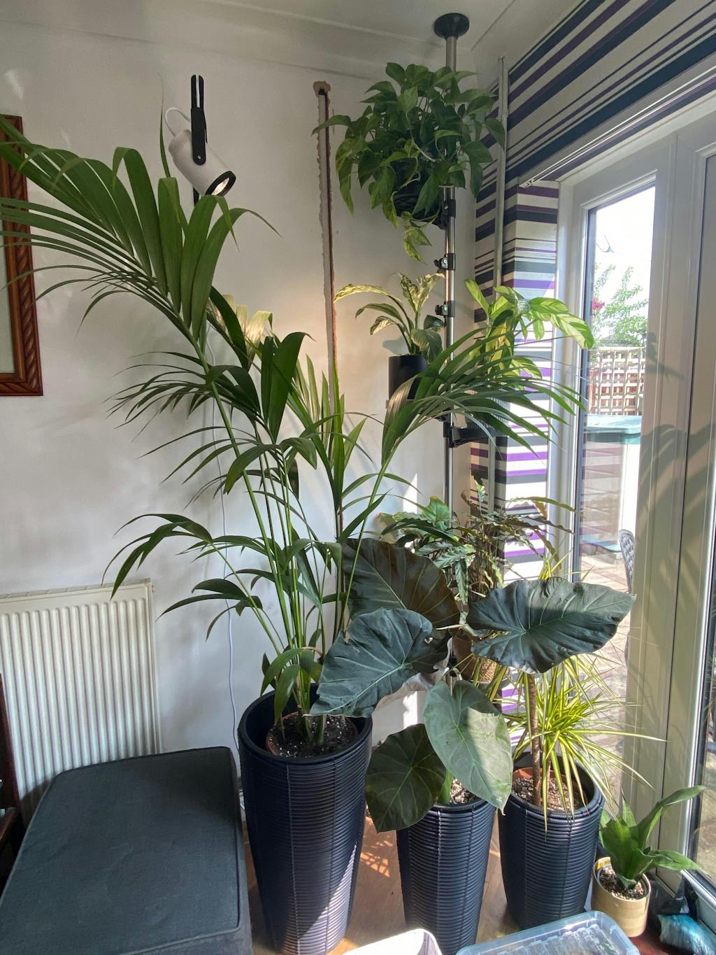 William F. Gericke | The Inventor Of Hydroponics - gathera