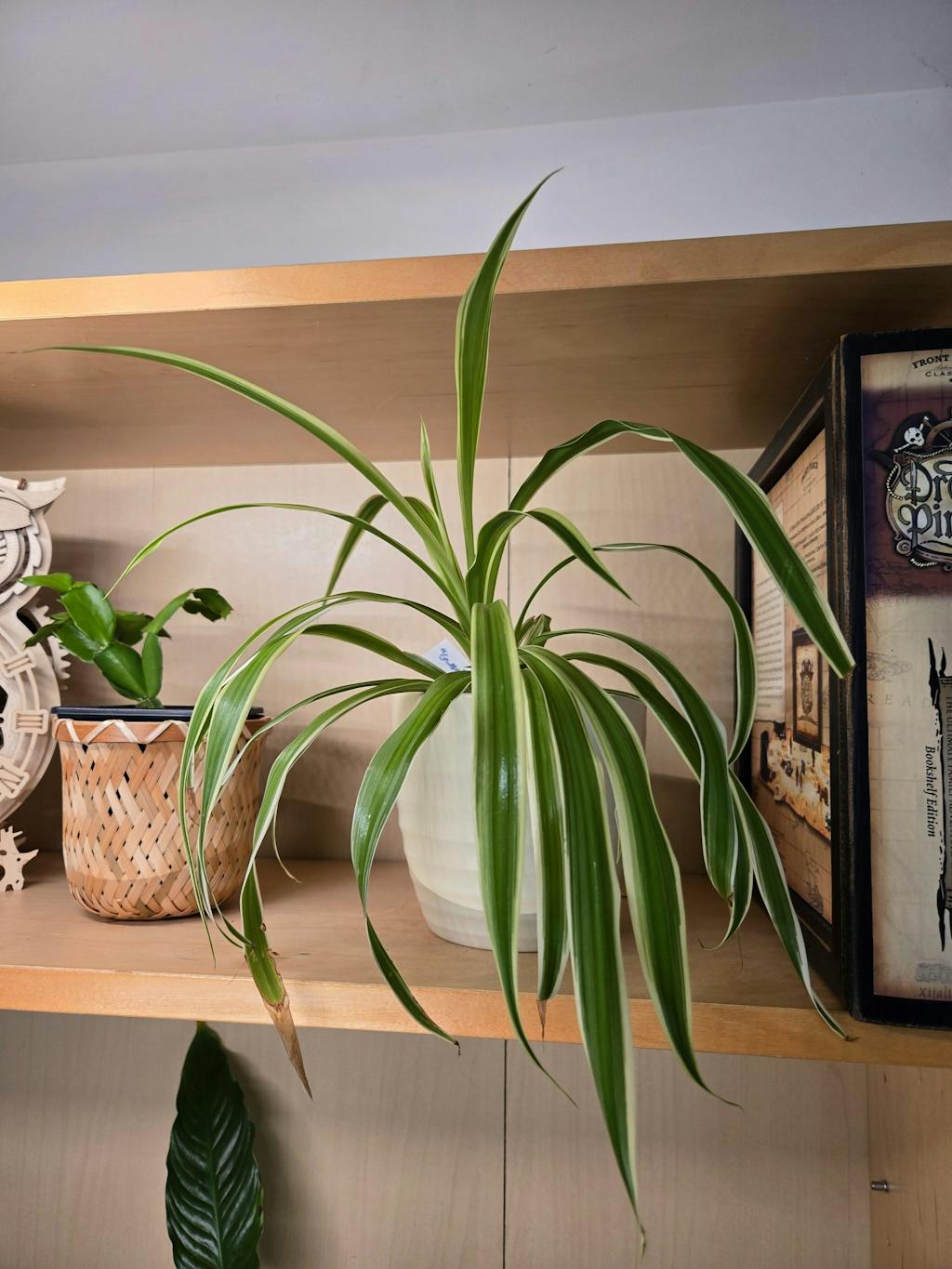 William F. Gericke | The Inventor Of Hydroponics - gathera