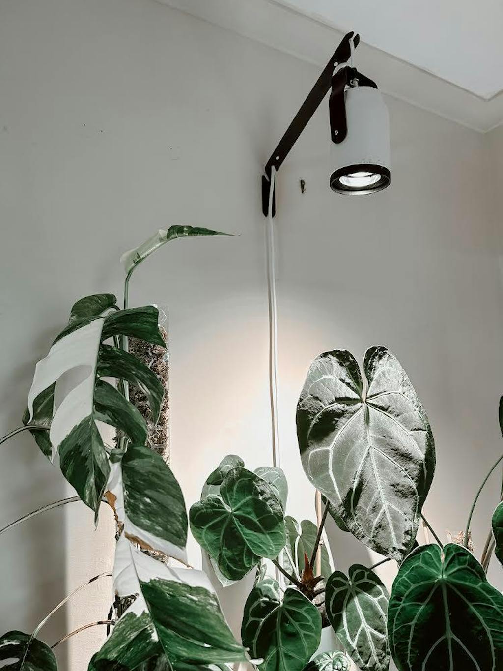 Sun Bulb | LED full spectrum grow bulb - gathera