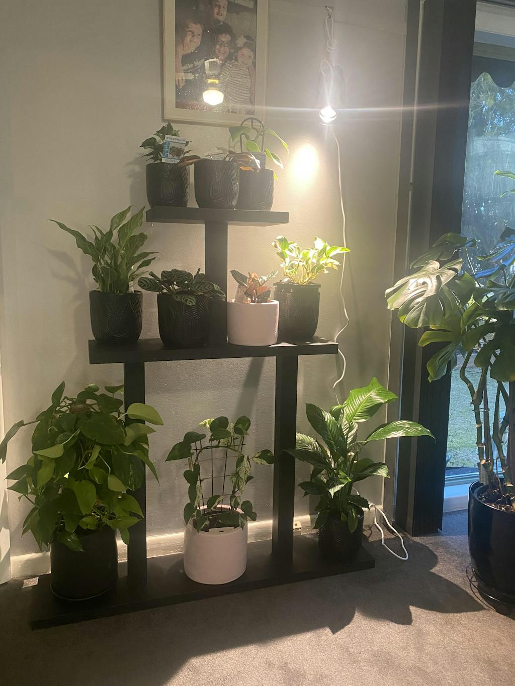 Sun Bulb | LED full spectrum grow bulb - gathera