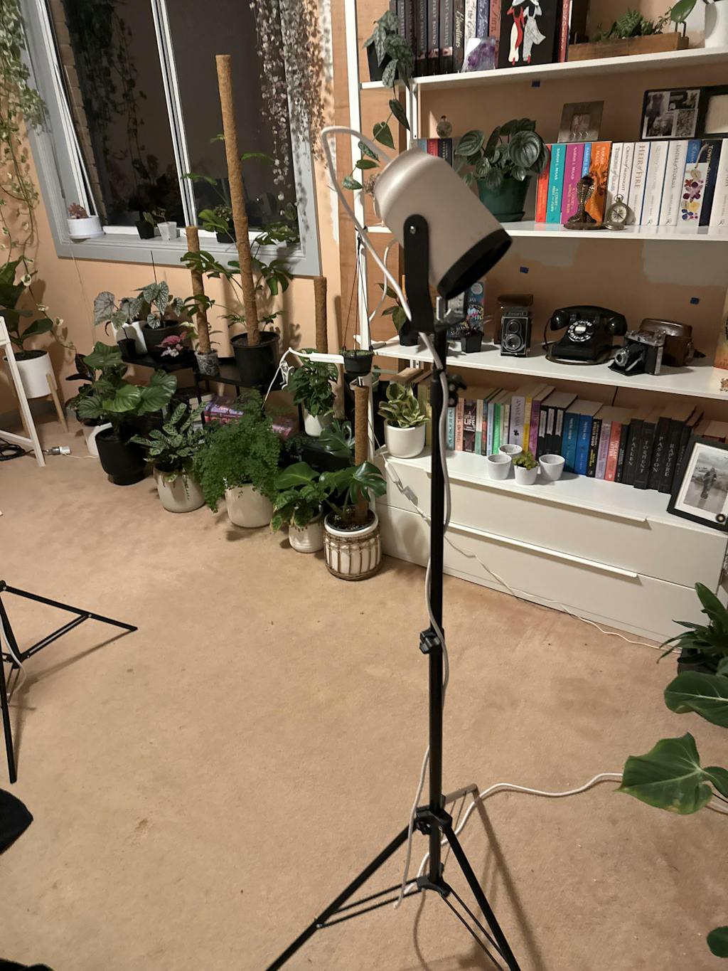 Sun Bulb | LED full spectrum grow bulb - gathera