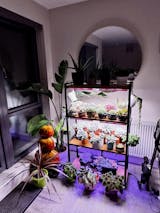 William F. Gericke | The Inventor Of Hydroponics - gathera