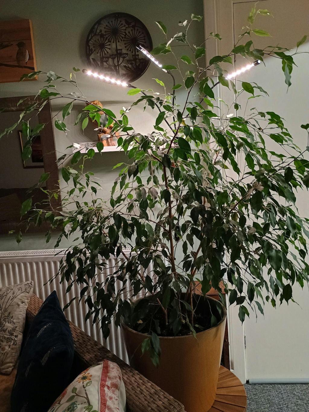 Sun Bulb | LED full spectrum grow bulb - gathera UK