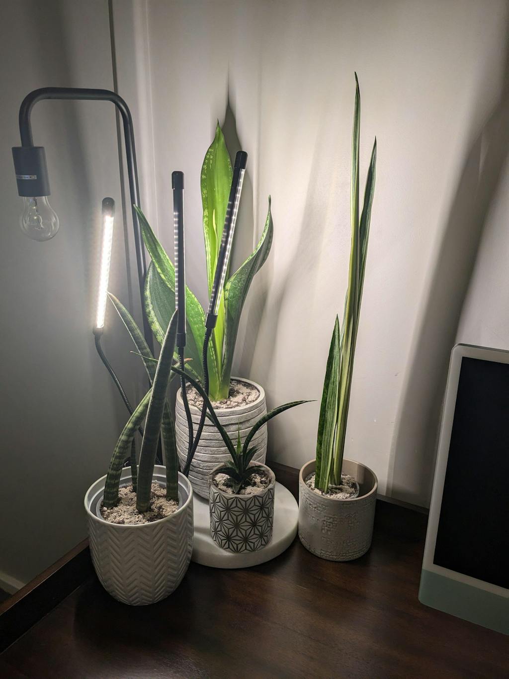 William F. Gericke | The Inventor Of Hydroponics - gathera