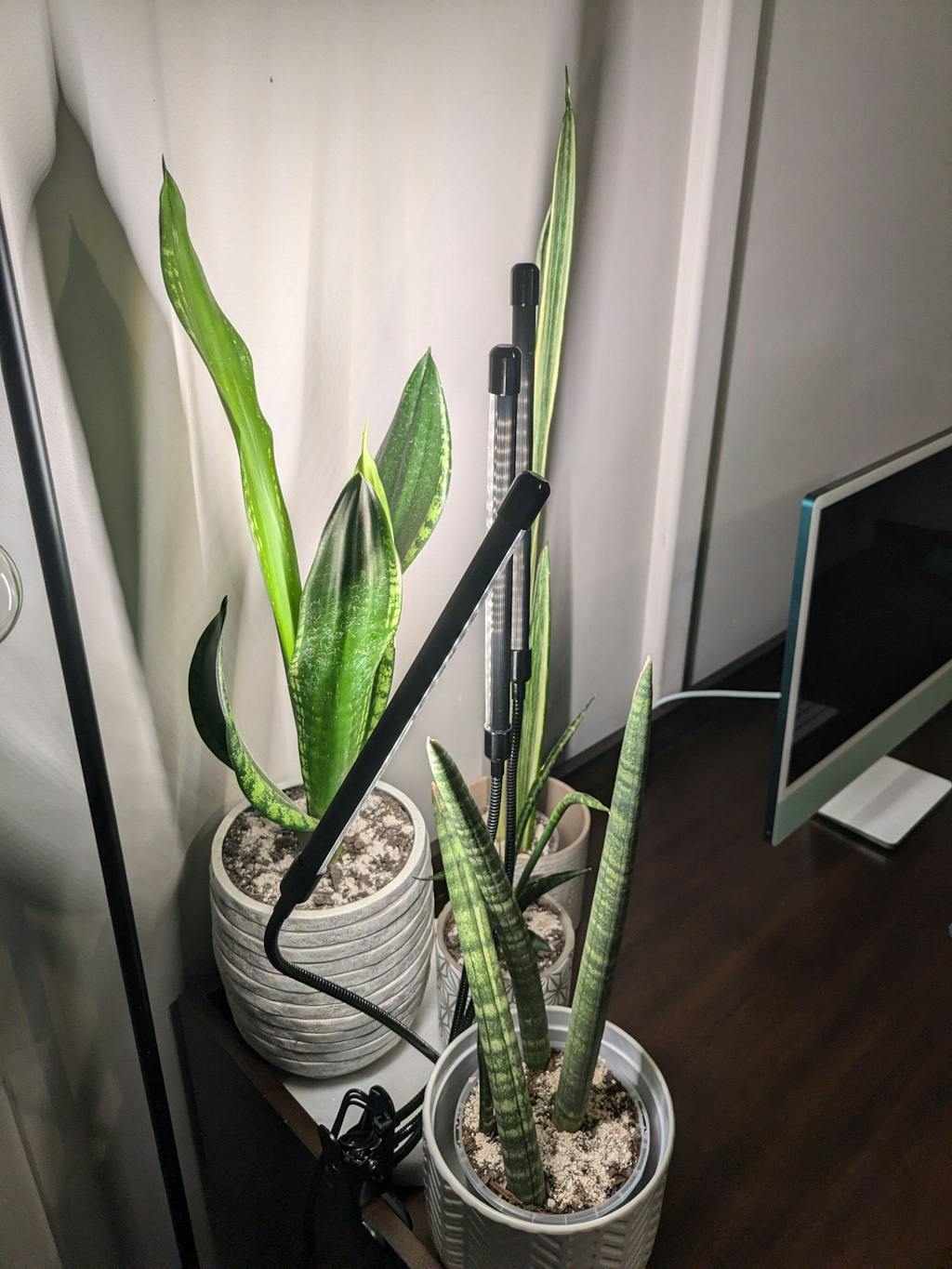 William F. Gericke | The Inventor Of Hydroponics - gathera