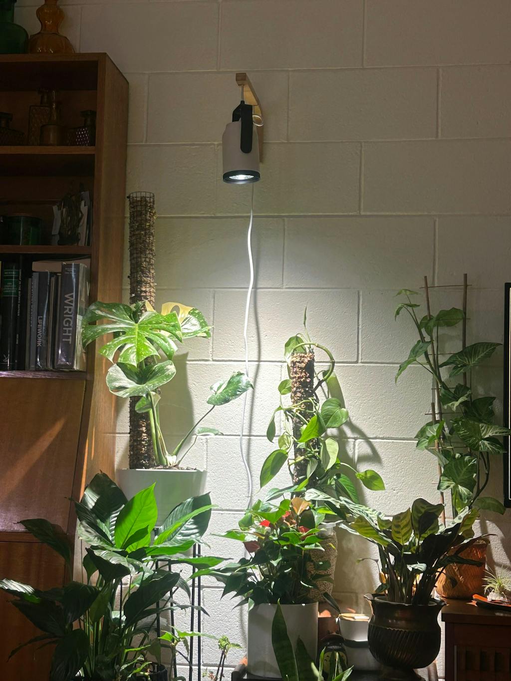 William F. Gericke | The Inventor Of Hydroponics - gathera