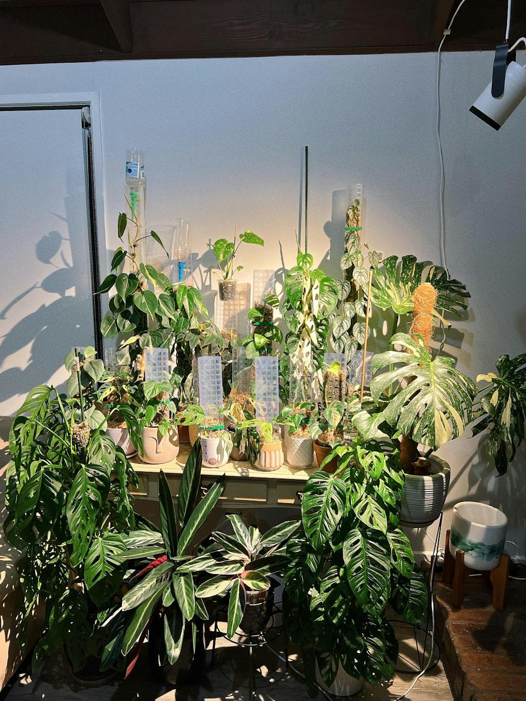 William F. Gericke | The Inventor Of Hydroponics - gathera