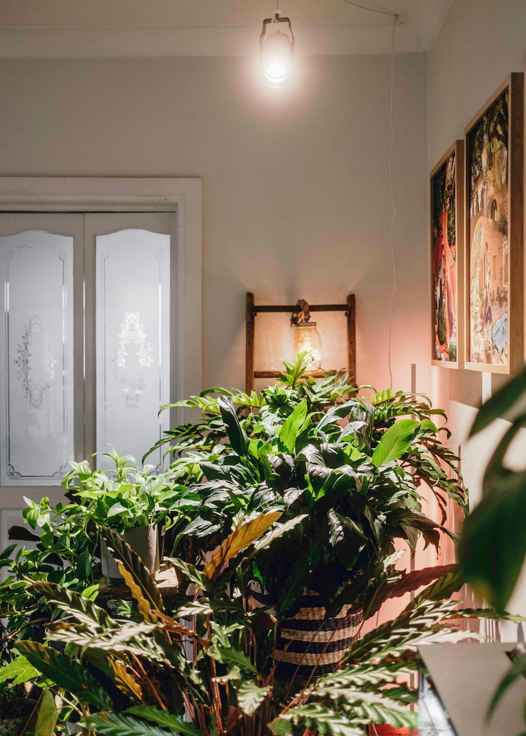 William F. Gericke | The Inventor Of Hydroponics - gathera