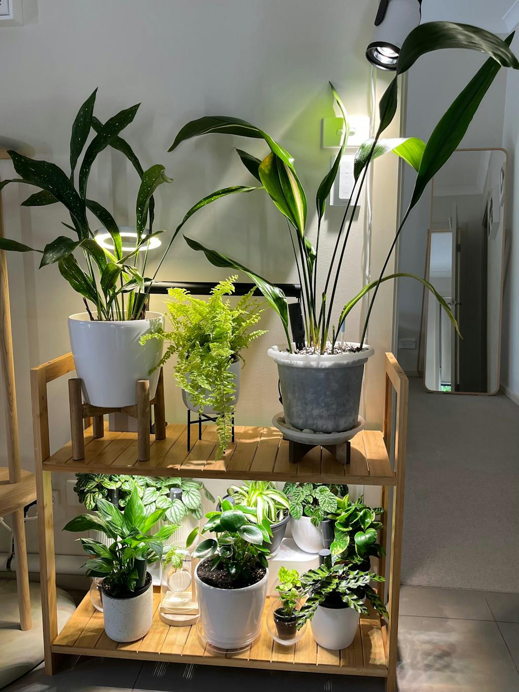 William F. Gericke | The Inventor Of Hydroponics - gathera