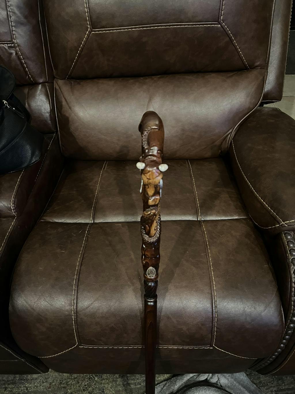 Buffalo Skull & Snake Wooden Cane Walking Stick – GC-Artis Walking ...