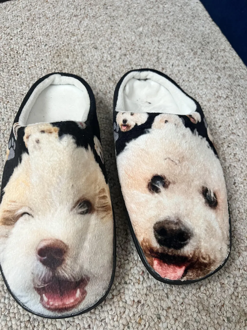 Plush Slippers Custom face Photo Dog Cat N369 HN590 120728 — GeckoCustom