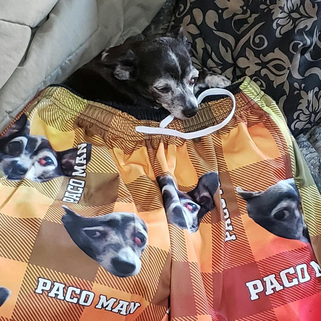 Custom Photo With Christmas Pattern Dog Cat For Men and Women Sweatpan — GeckoCustom