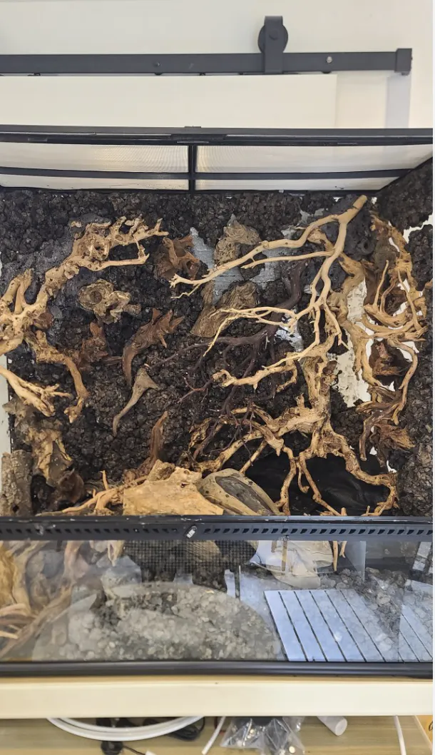 Carbonized Charcoal Cork Chunk – Geckopia