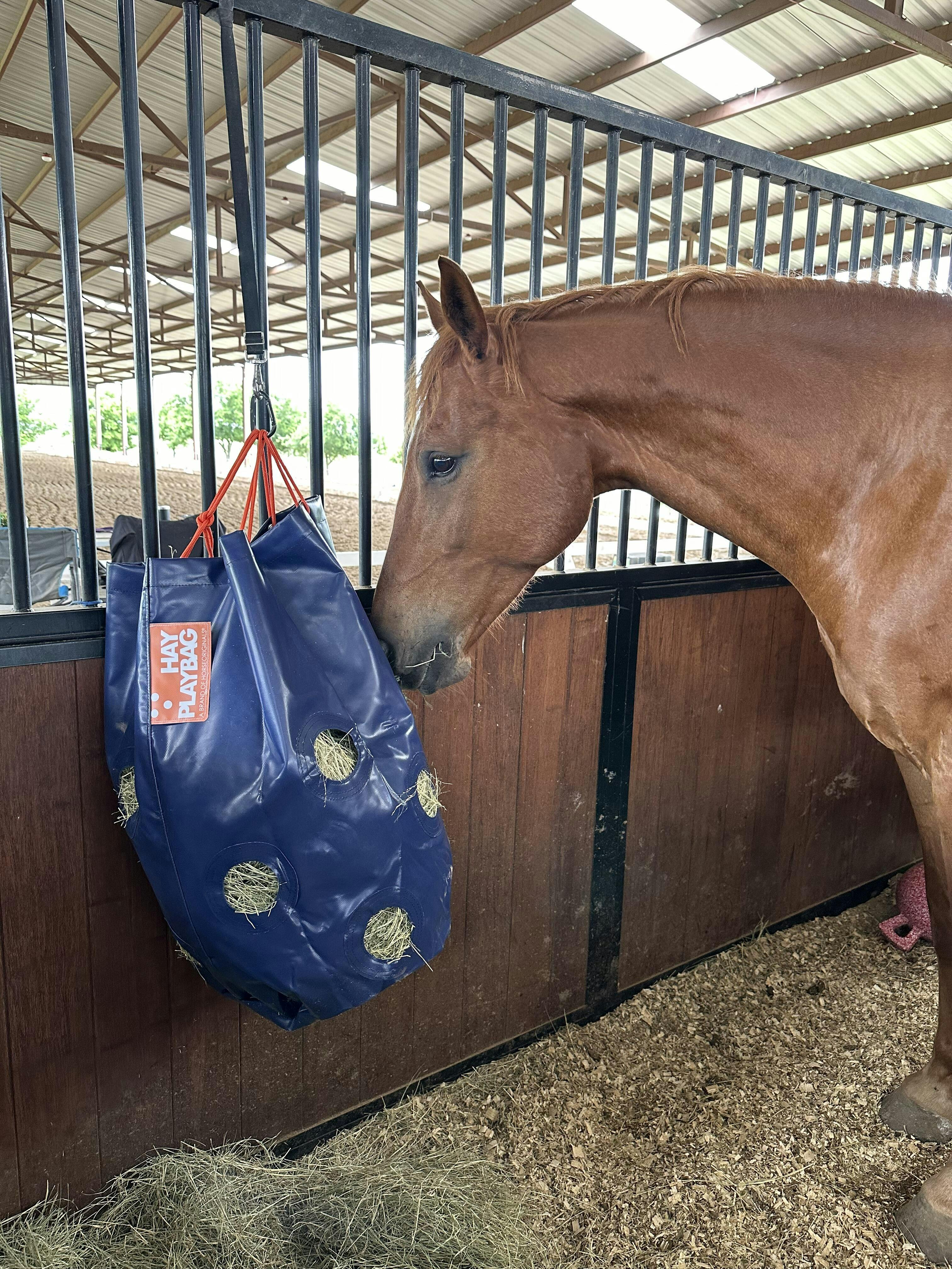HayPlay Slow-Feed Tie Bag – GG Equine