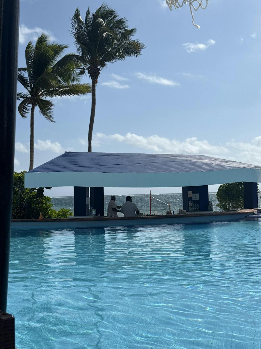 Thor Large Rotating Remote Control Prostate Massager | GIDDI