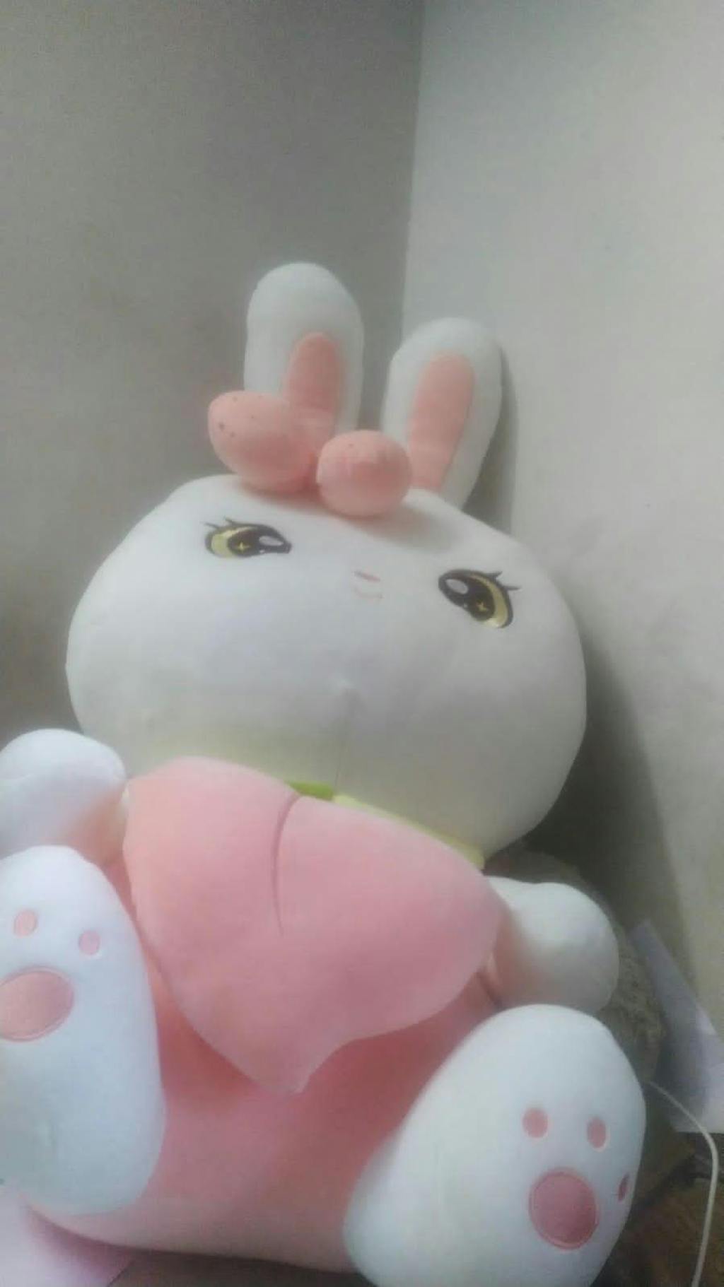 Rabbit/Bunny Plush Soft Toy | Teddy Bear | Giftify