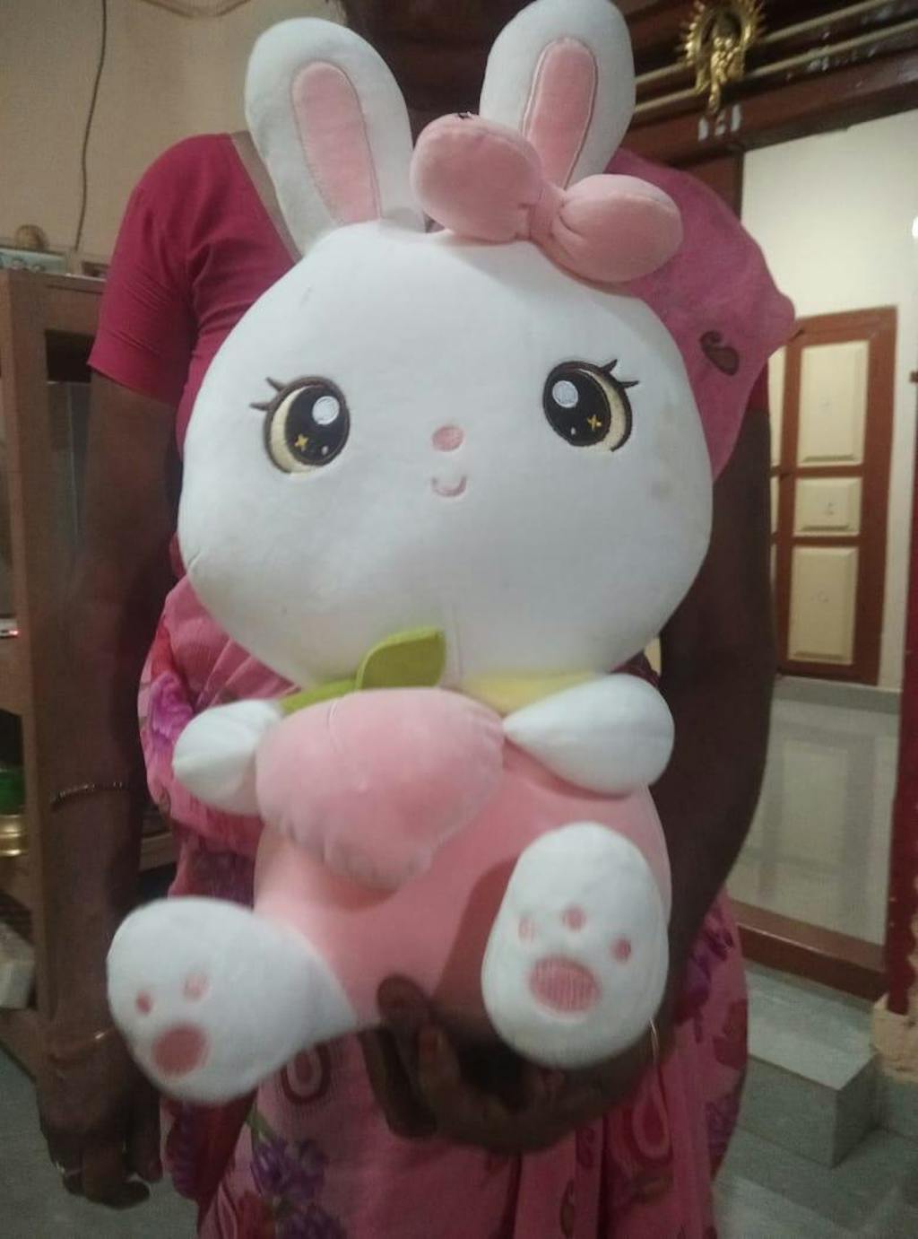 Rabbit/Bunny Plush Soft Toy | Teddy Bear | Giftify