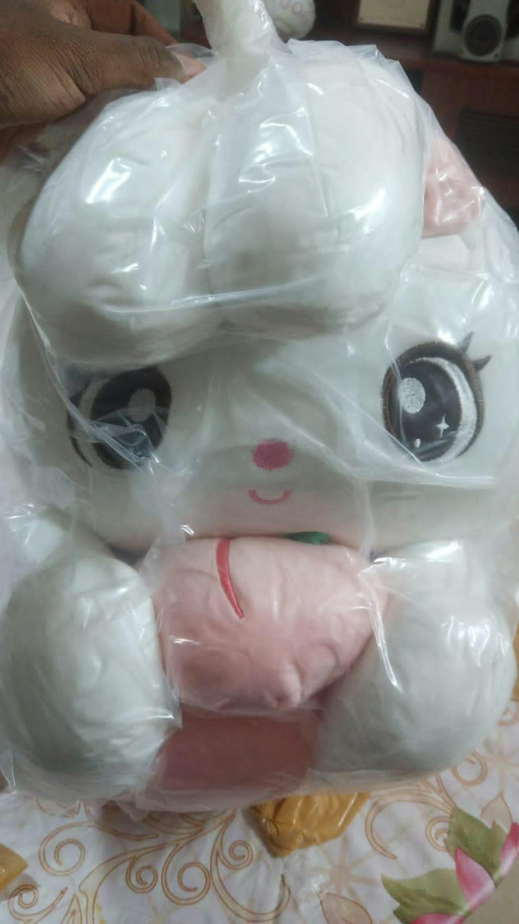 Rabbit/Bunny Plush Soft Toy | Teddy Bear | Giftify