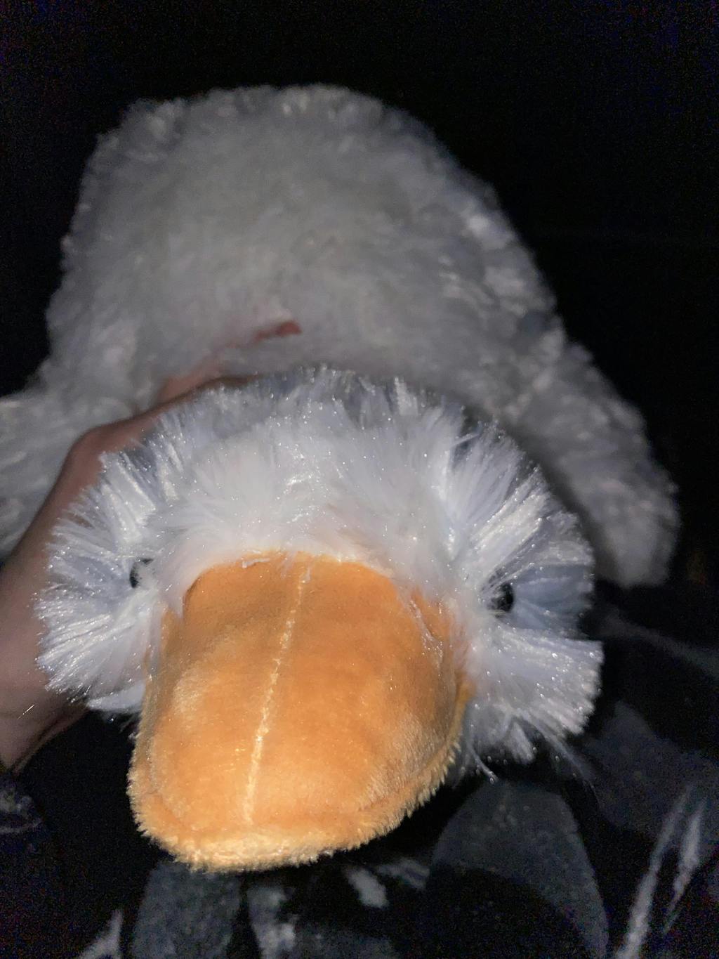 Quackers the Duck Weighted Stuffed Animal – givehugz