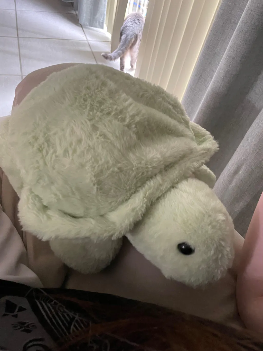 Shelly the Turtle – givehugz