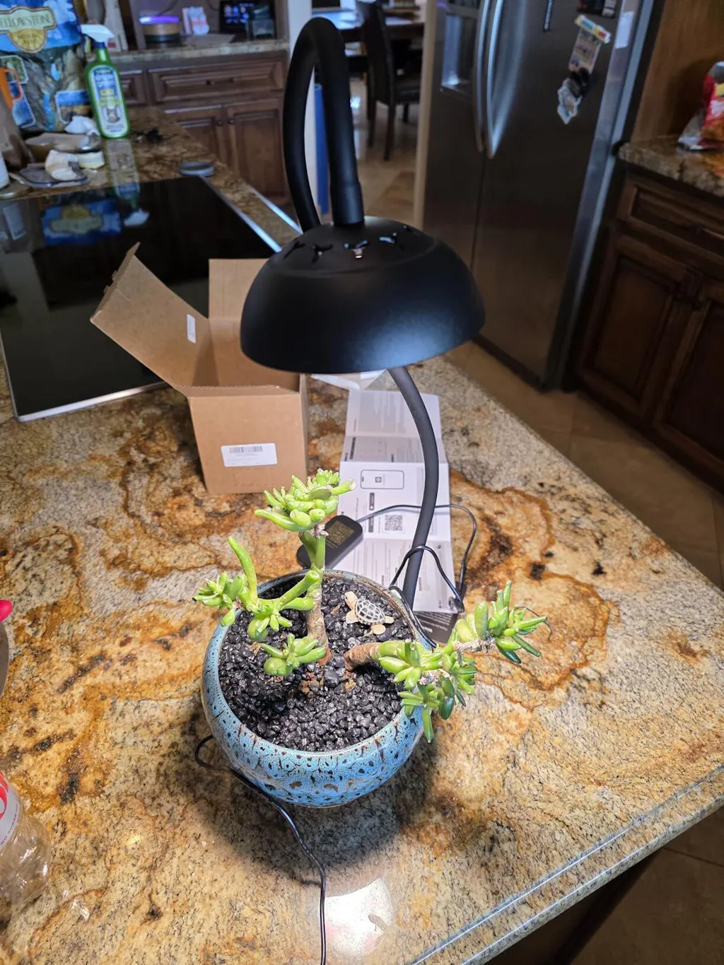 GLOWRIUM Smart Grow Light 10W – Full Spectrum LED for Indoor Plants-G8 ...