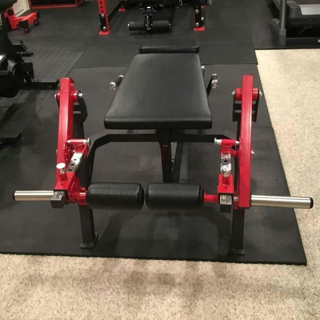 GMWD 4-in-1 Isolated Leg Extension and Curl Machine LE03, Heavy Duty ...