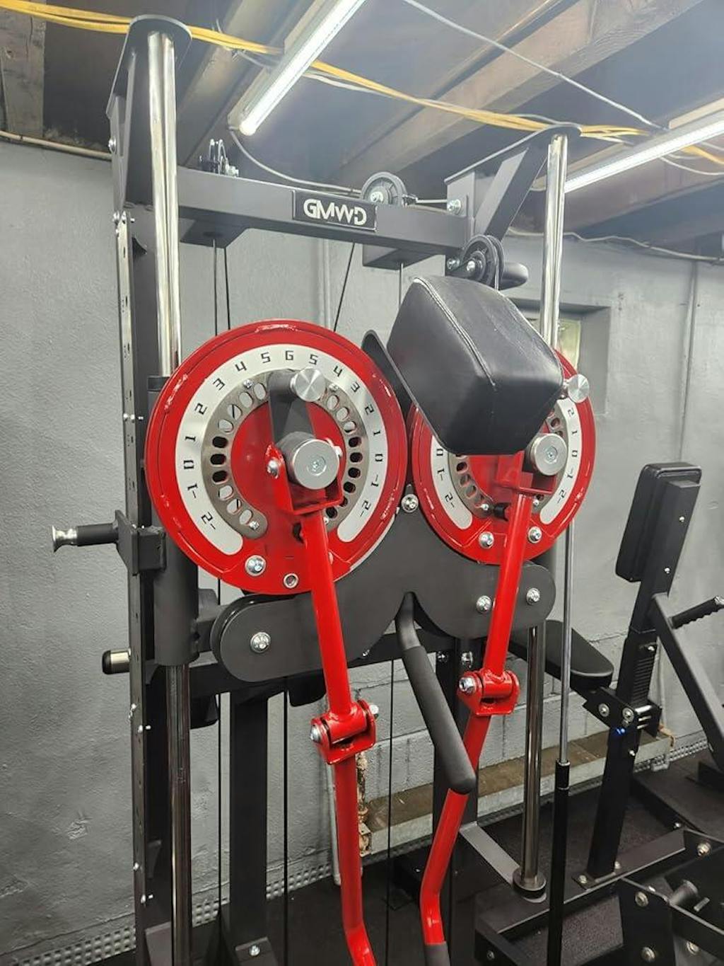 GMWD Lateral Raise & Adjustable Standing Multi-Flight Machine CPJ Deltoid, LAT, and Chest Home ...