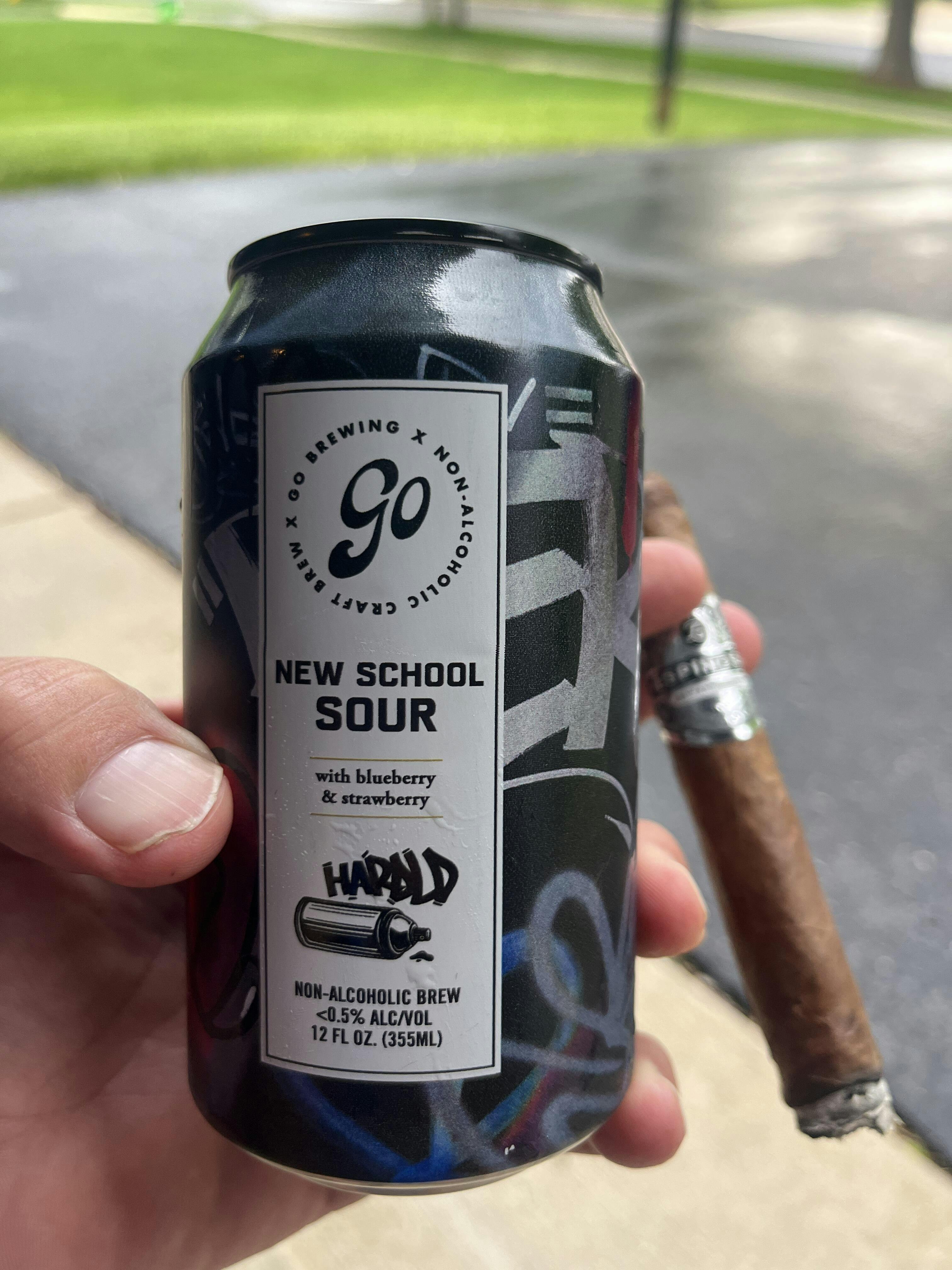 Non-Alcoholic New School Sour Berry | Go Brewing NA Beer