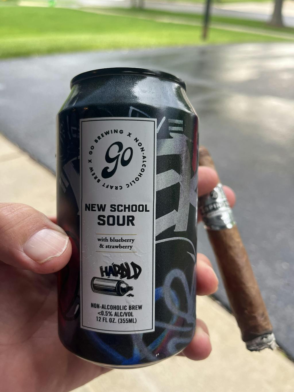 Non-Alcoholic New School Sour Berry | Go Brewing NA Beer