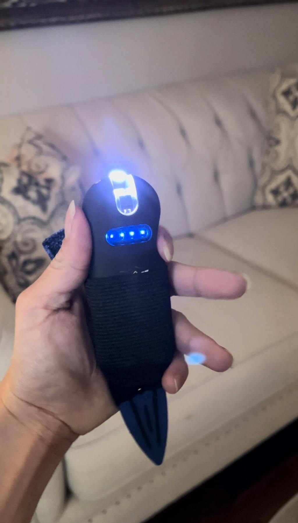 GO GUARDED HAND-HELD WITH STUN DEVICE - Go Guarded