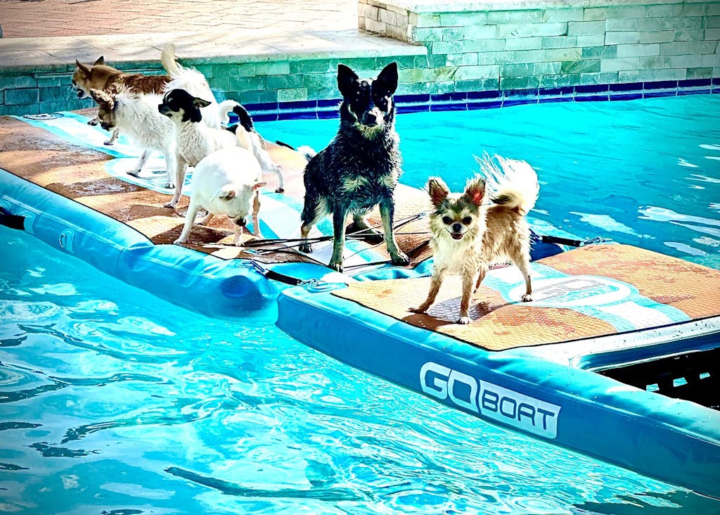 Mini Dock – GoBoat