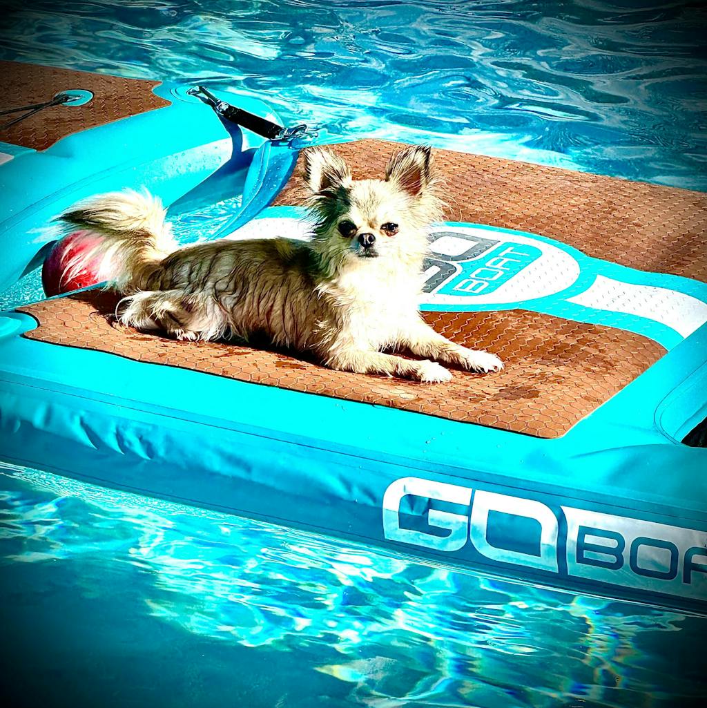 Mini Dock – GoBoat