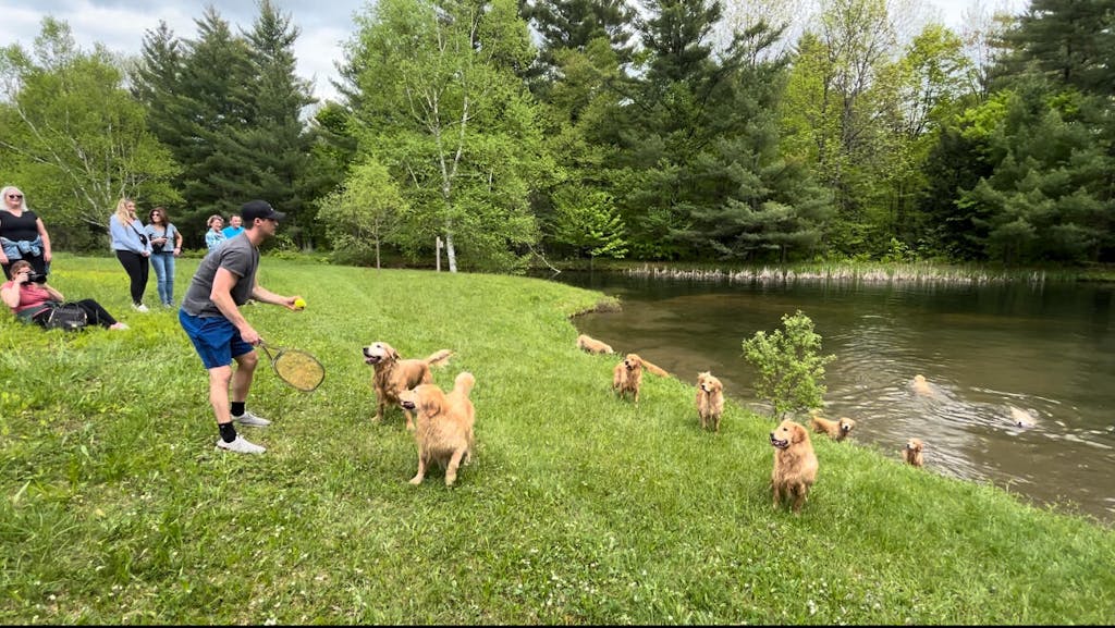 Golden Retriever Experience™ - Golden Dog Farm LLC