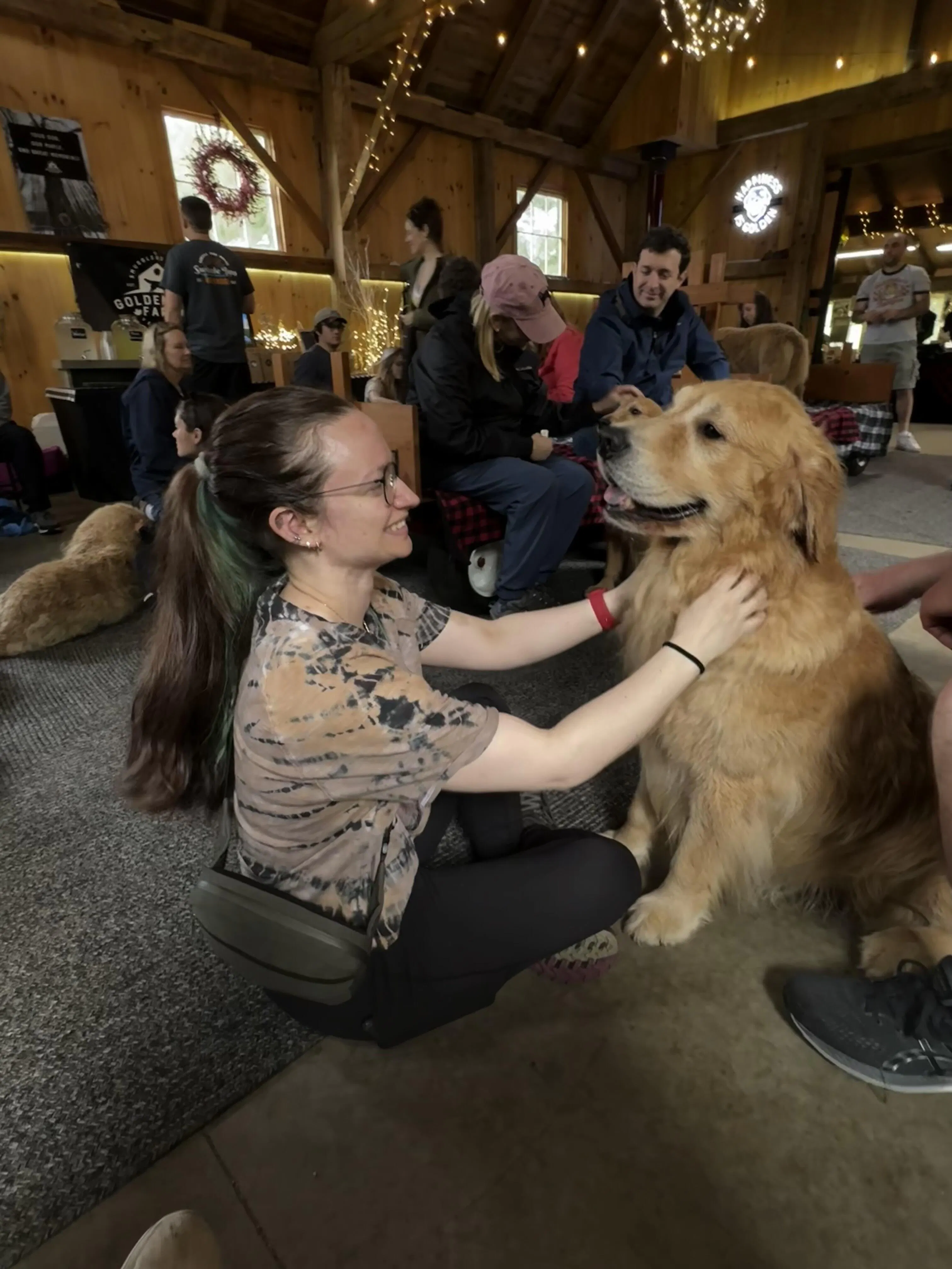 Golden Retriever Experience™ - Golden Dog Farm LLC