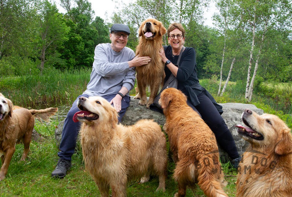 Golden Retriever Experience™ - Golden Dog Farm LLC