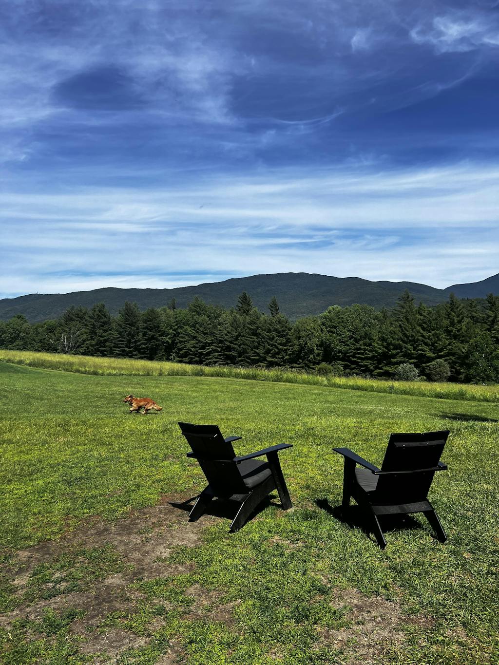 Golden Retriever Experience™ - Golden Dog Farm LLC