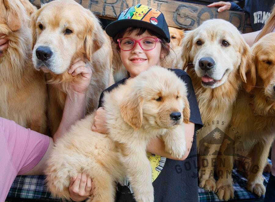 Golden Retriever Experience™ - Golden Dog Farm LLC